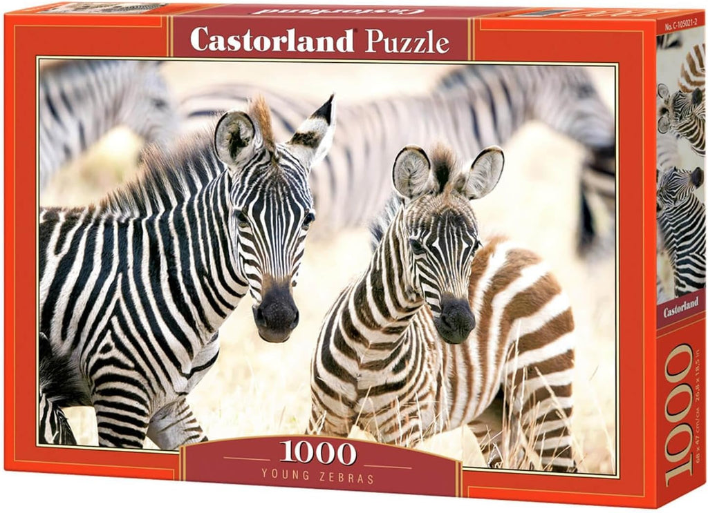 Castorland - Young Zebras Jigsaw Puzzle (1000 Pieces) | I Love Puzzles