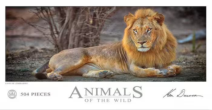 Ken Duncan - Animals of the Wild - Lion of Zimbabwe 504 Piece Jigsaw P ...